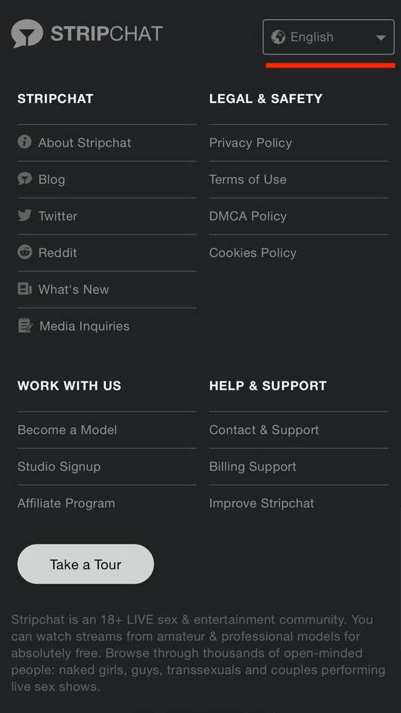 How to change the language on Stripchat? – Stripchat FAQ