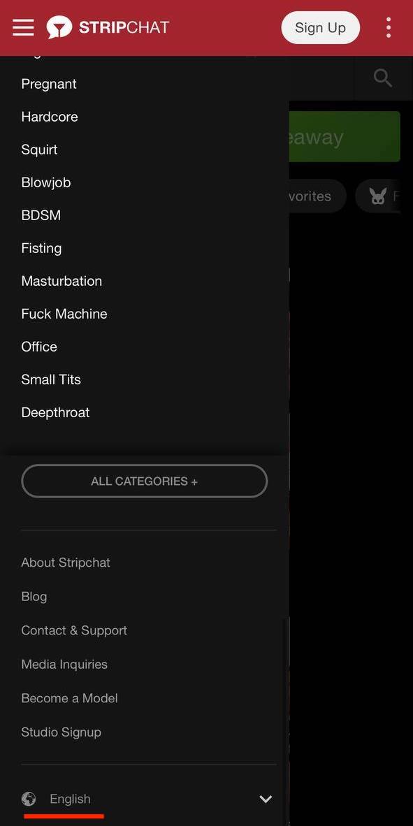 How to change the language on Stripchat? – Stripchat FAQ